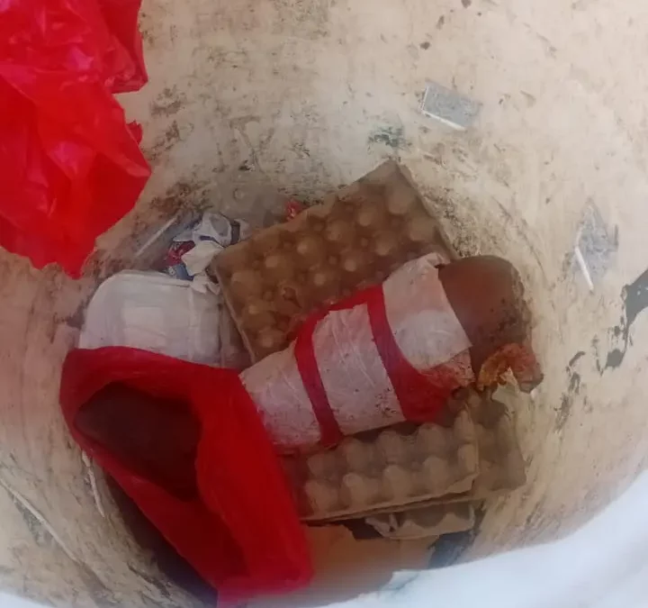 Encuentran pierna humana en zafacón en el Don Bosco – Noticias SIN